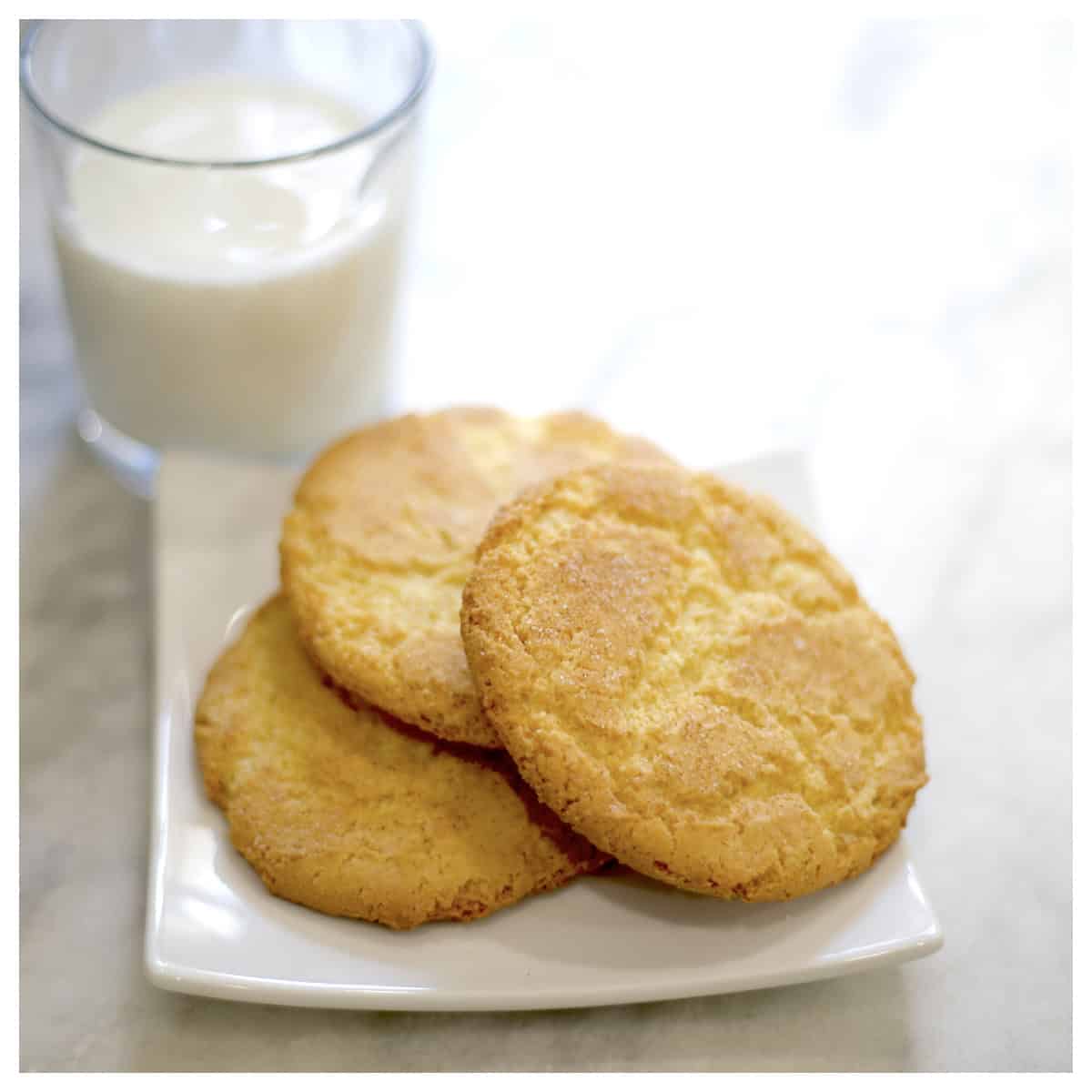 Snickerdoodles – At Home With Shay – gluten free